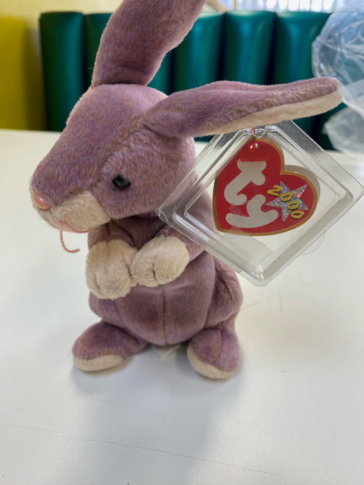 TY Beanie Babies - Springy the Bunny — Cardboard Memories Inc.