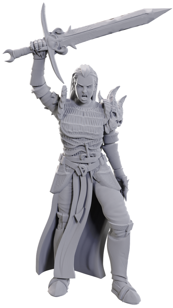 Wizkids - D&D - Unpainted Miniature - Blackguard - 90772 — Cardboard ...