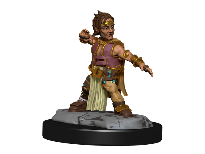 Pathfinder - Miniatures - Deep Cuts - Halfling Monk Male — Cardboard ...