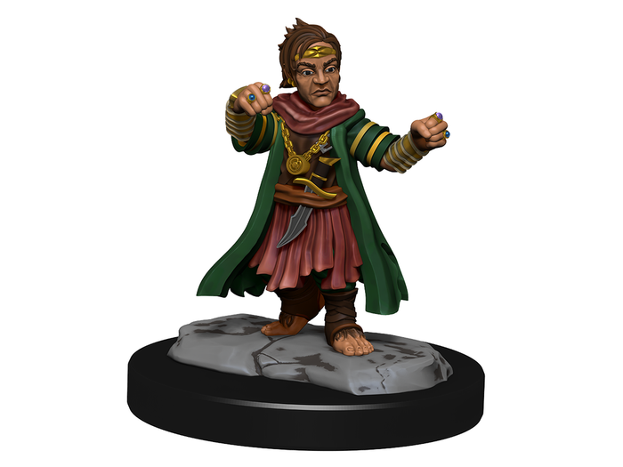 Pathfinder - Miniatures - Deep Cuts - Halfling Monk Male — Cardboard ...