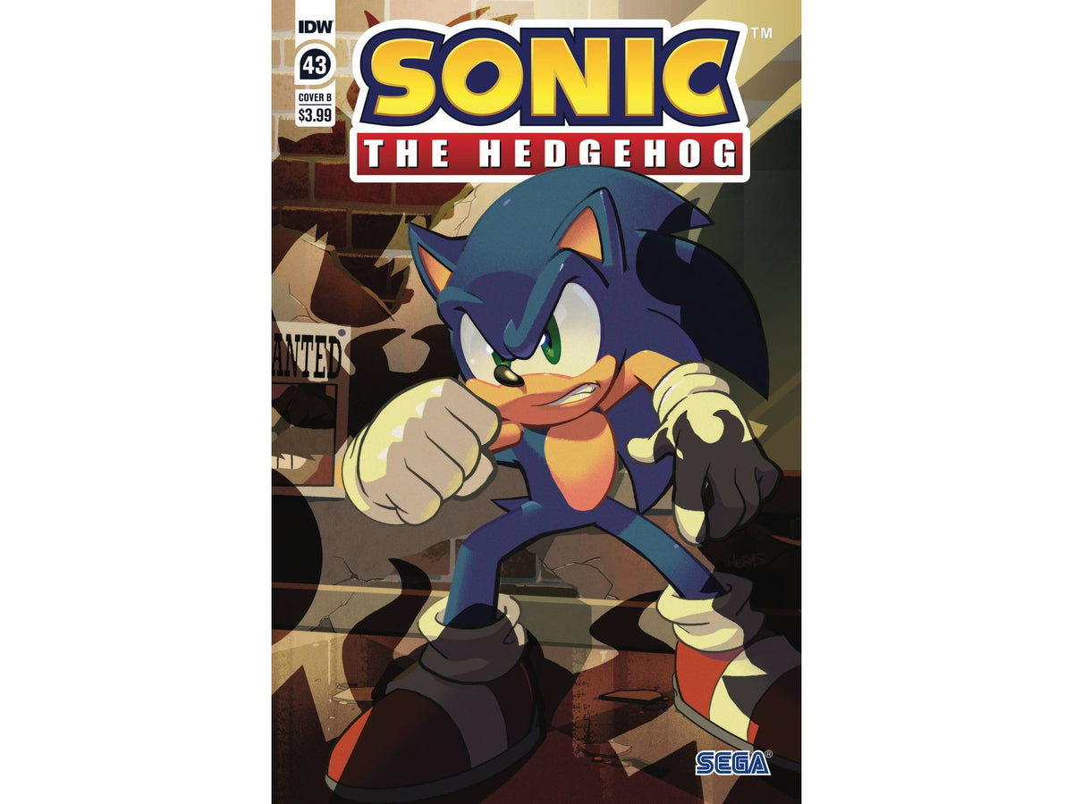 IDW Comics - Sonic the Hedgehog 043 - Herms Variant Edition — Cardboard ...