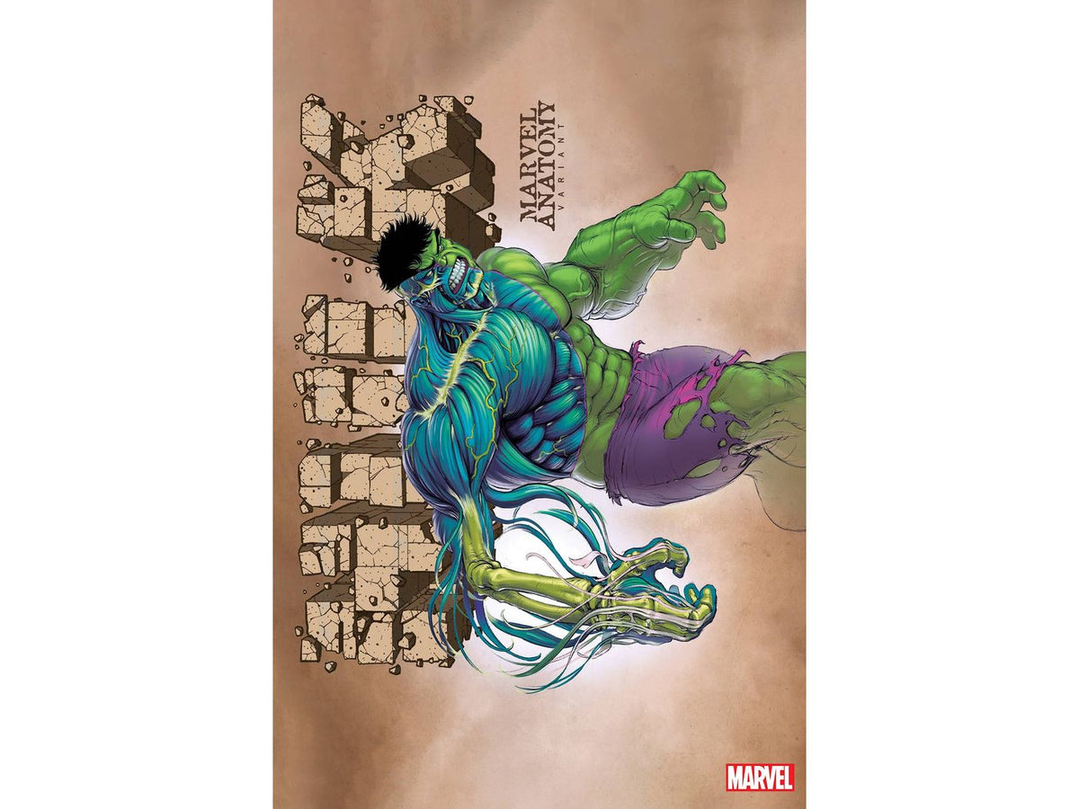 Marvel Comics - Hulk 011 (Cond. VF-) Marvel Anatomy Lobe — Cardboard ...
