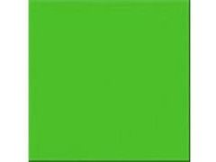 Privateer Press - Formula P3 Paint Necrotite Green PIP 93039 ...